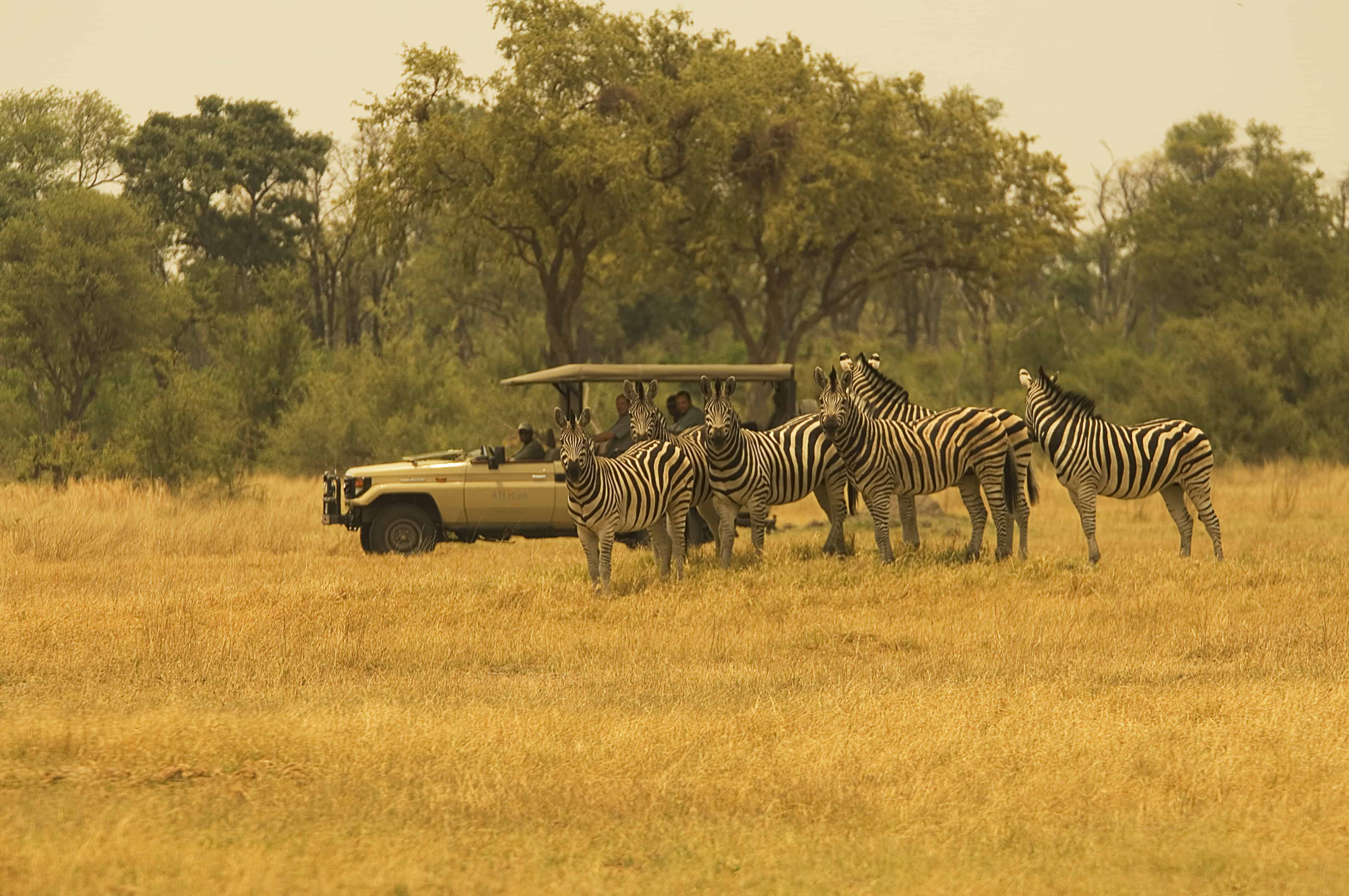 Hwange National Park - Zimbabwe