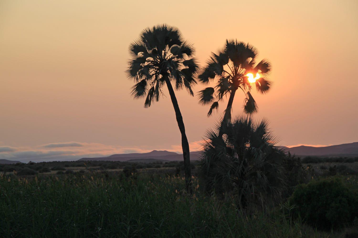 Namibia Luxury Safaris - Southern Destinations