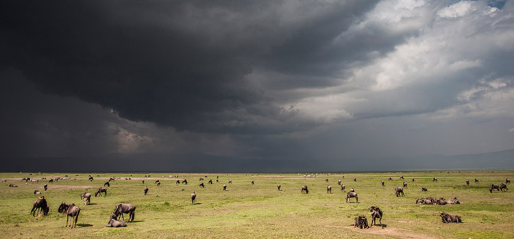 Karatu Luxury Safaris - Southern Destinations