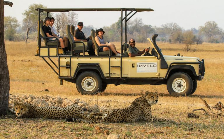 Eyes on Zimbabwe: Best Guides, Wildest Animals & Amazing Value ...