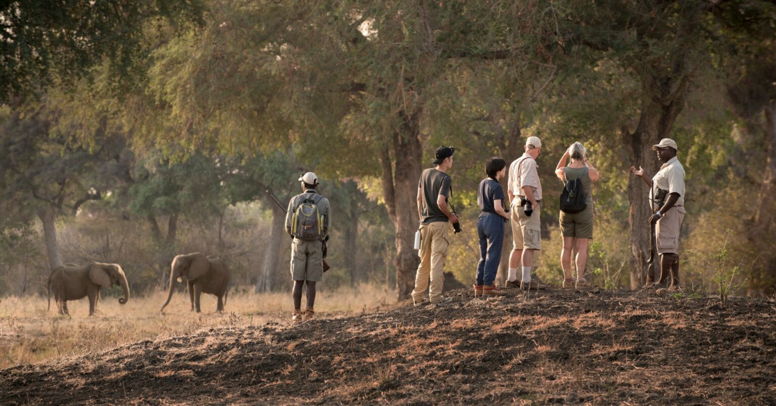 The "REAL" Safari Bucket List - Southern Destinations