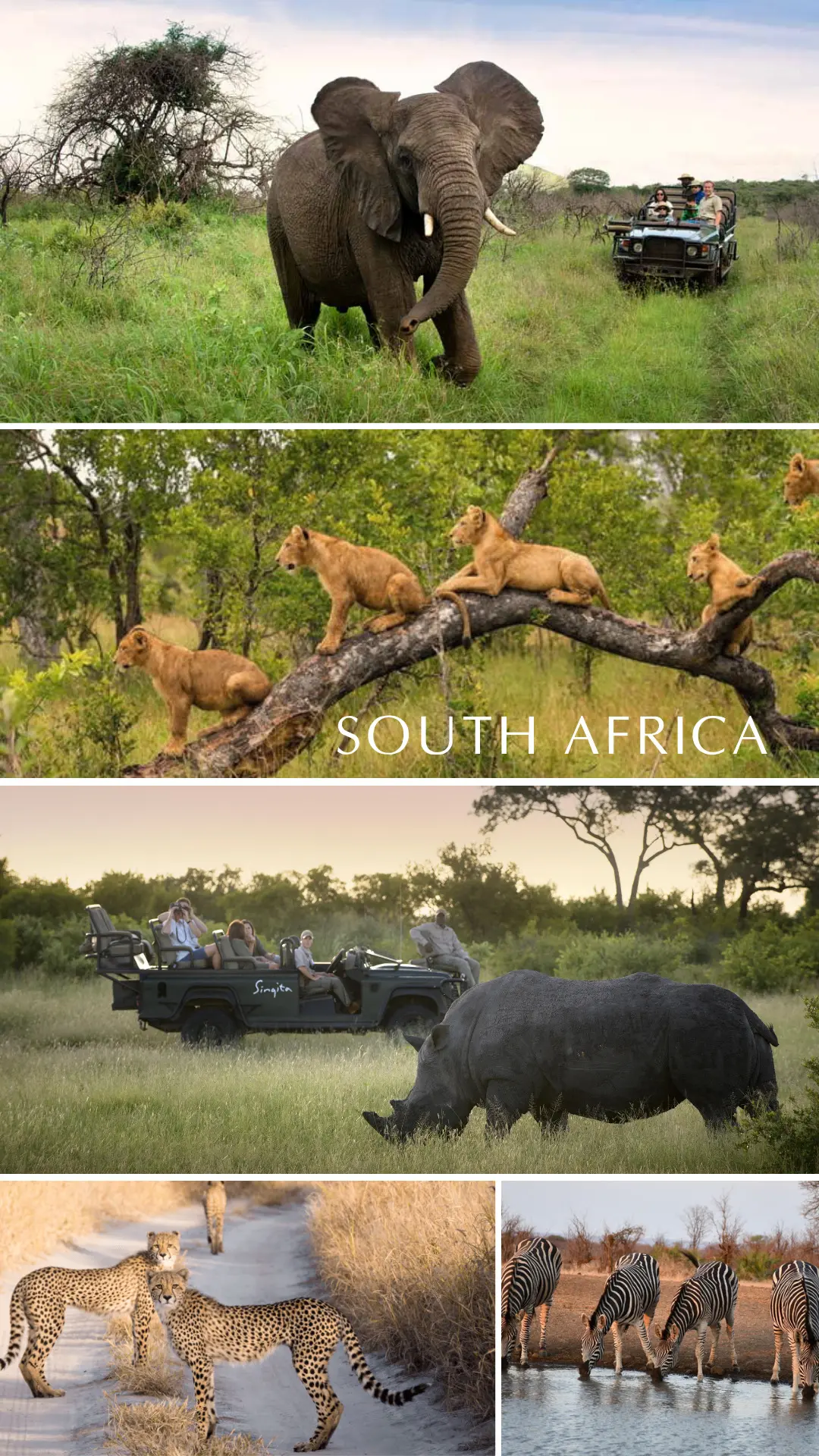A visual safari calendar | African Safari Consultants