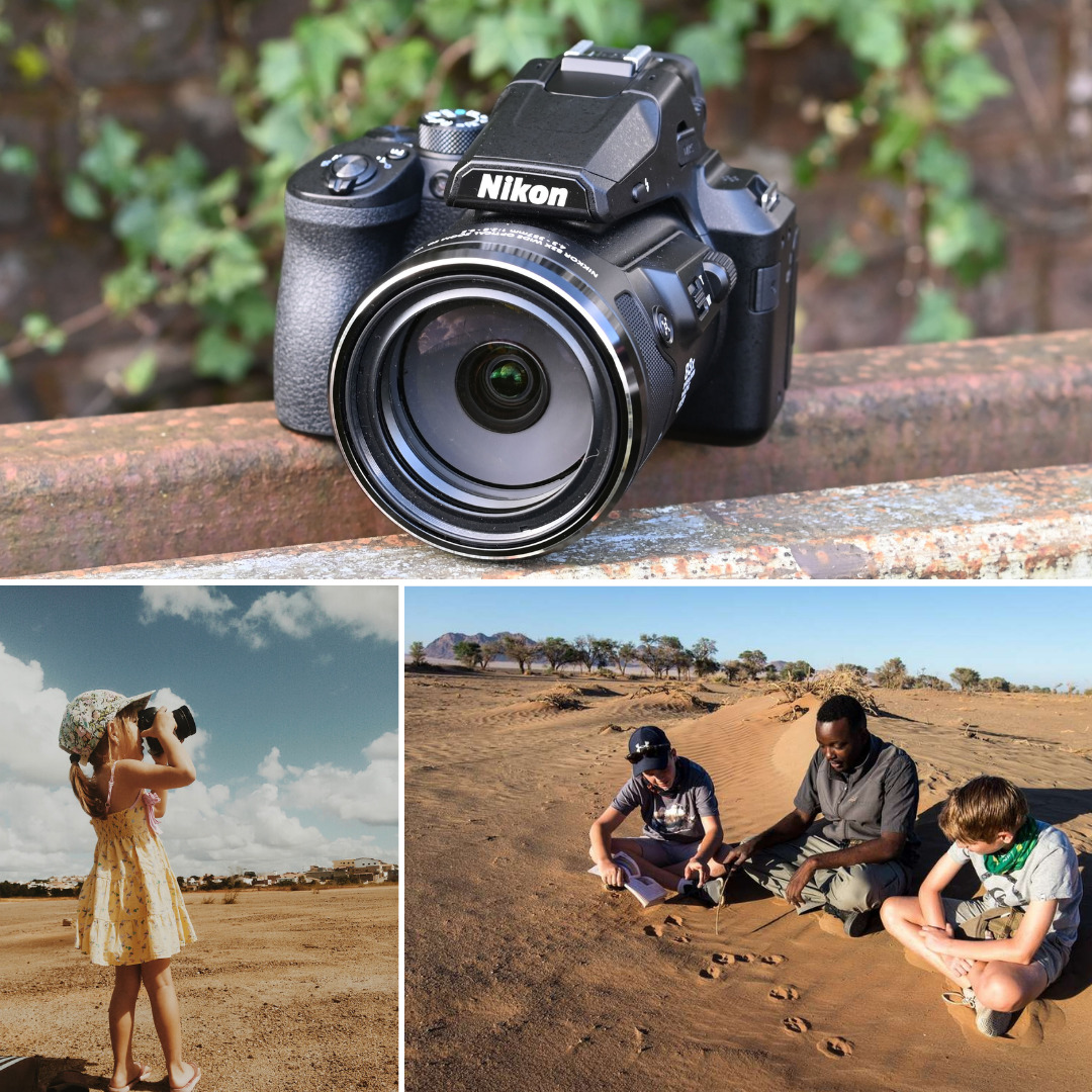 How To Get Your Kids Hooked on Wildlife Photography - Southern Destinations